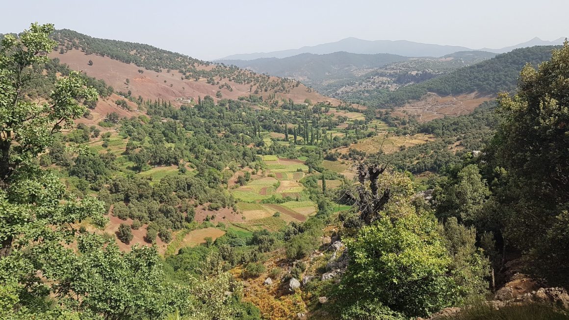 La Grotte Chaara : un paradis sur terre - Foxherald