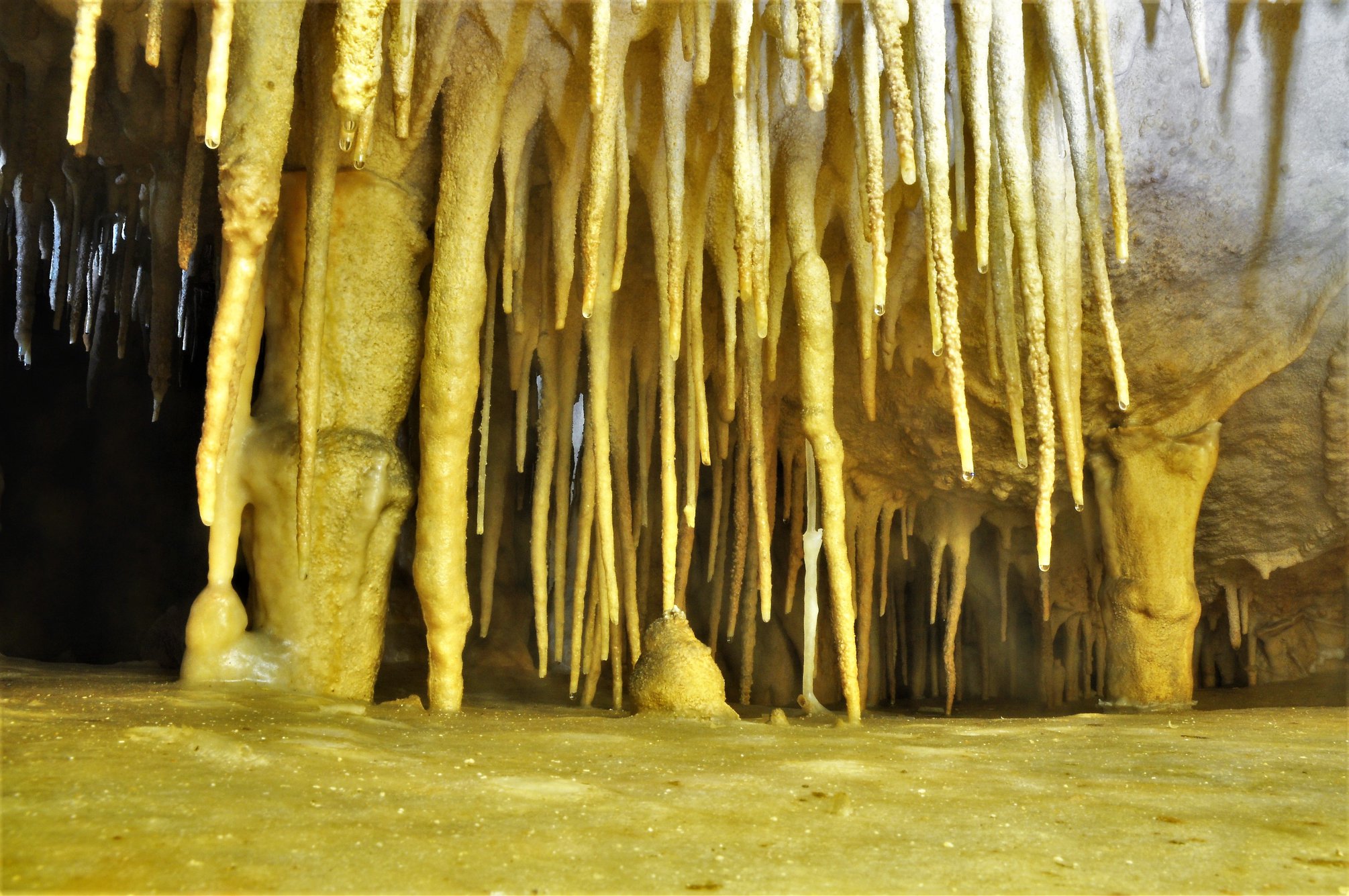 La Grotte Chaara : un paradis sur terre - Foxherald
